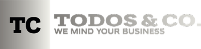 Todos & Company – Consultanţă în afaceri şi management